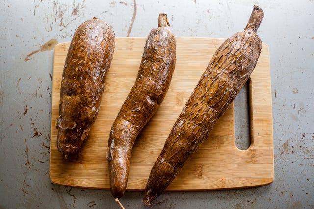 Cassava Yuca 101