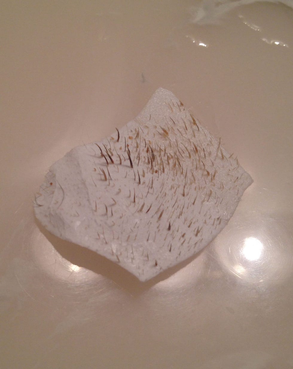 Biore Blackhead Removal Strips