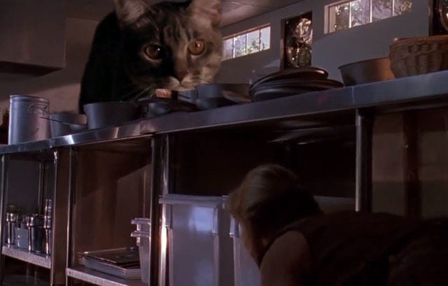 Jurassic Parks Kitchen Velociraptor Scene Recreated With Cats