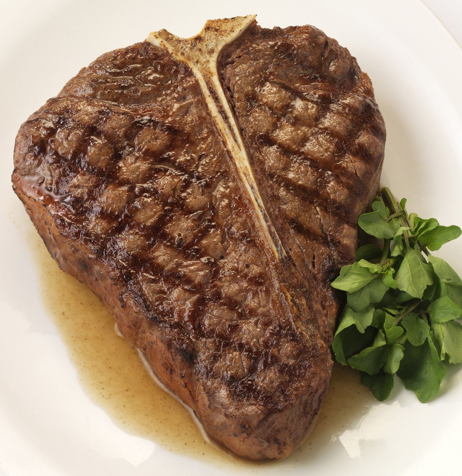 Biggest steak store
