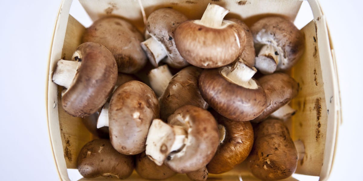 These Hawaiian Mushrooms Promise Women Instant Orgasms Find Out How These Mushrooms Will
