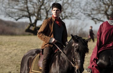 Human, Halter, Horse, Horse supplies, Bridle, Rein, Horse tack, Working animal, Equestrianism, Liver, 