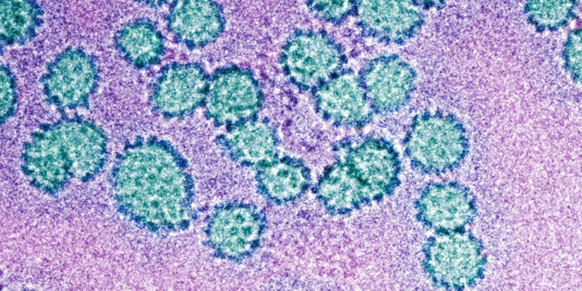 Heres Why You Should Get The Hpv Vaccine Even If Youve Already Had Hpv
