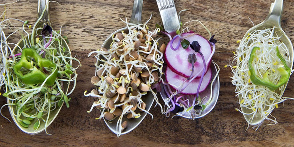 Cinco pasos para una vida saludable Cinco pasos para una vida saludable