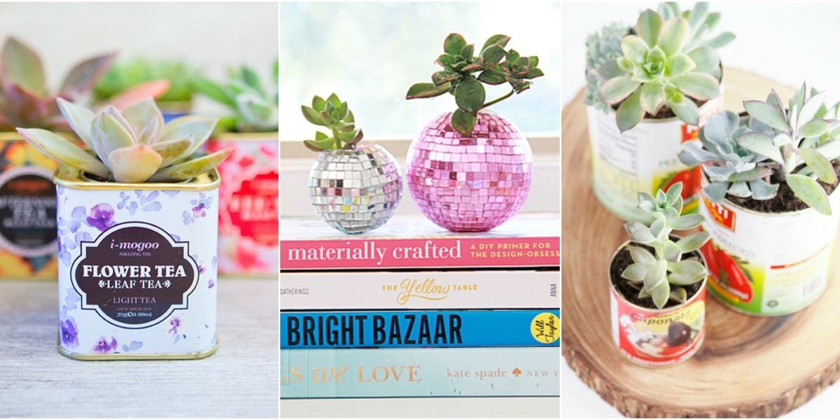 15 Diy Succulent Planters How To Make A Succulent Planter