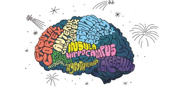 What Happens In Your Brain During A Female Orgasm