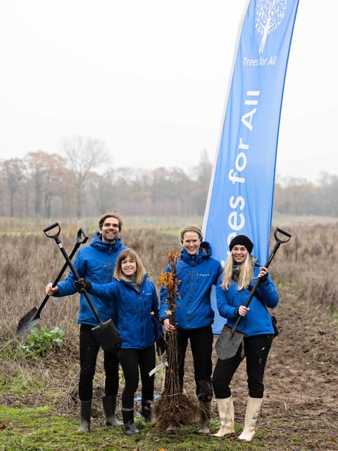 3 hoeraatjes voor de boom 3 hoeraatjes voor de boom
