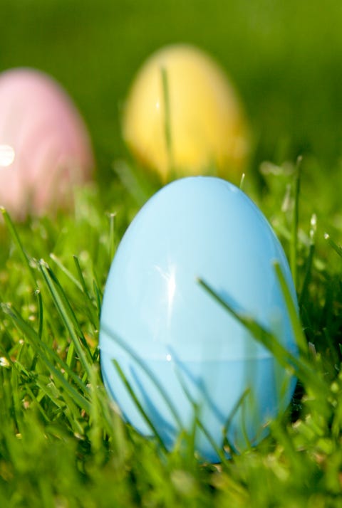 24 Best Adult Easter Egg Hunt Ideas How To Host An Easter Egg Hunt