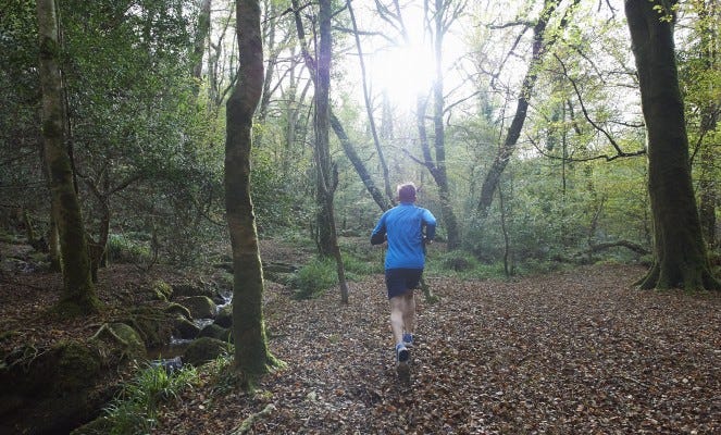 Wanneer kunnen kinderen gaan hardlopen? Wanneer kunnen kinderen gaan hardlopen?