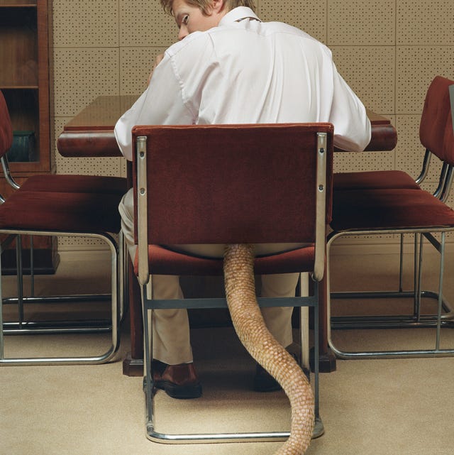 Why Humans Dont Have Tails Early Humans Mightve Had Tails