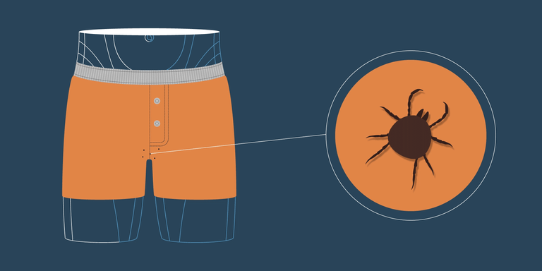 How To Remove A Tick From Your Balls How To Get Rid Of Ticks
