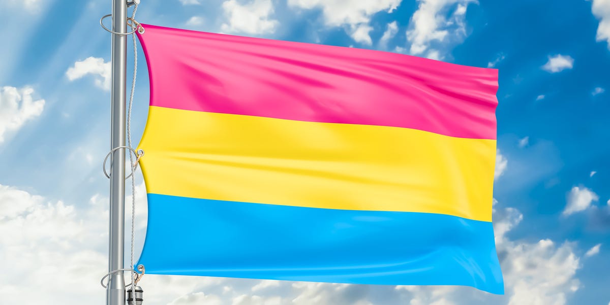 Pansexuality meaning and definition - What is pansexual? Pansexuality meaning and definition - What is pansexual?