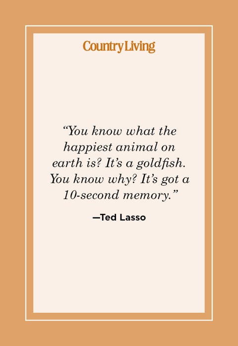 46 Ted Lasso Quotes Funniest Ted Lasso Quotes