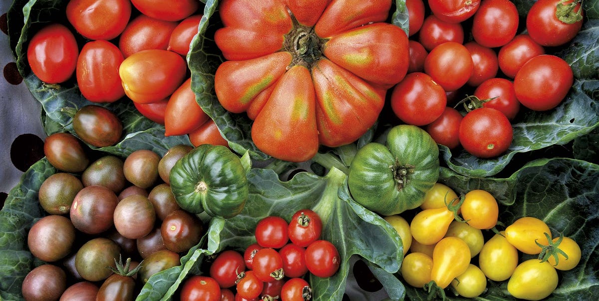 Tomates Variedades Características Y Propiedades