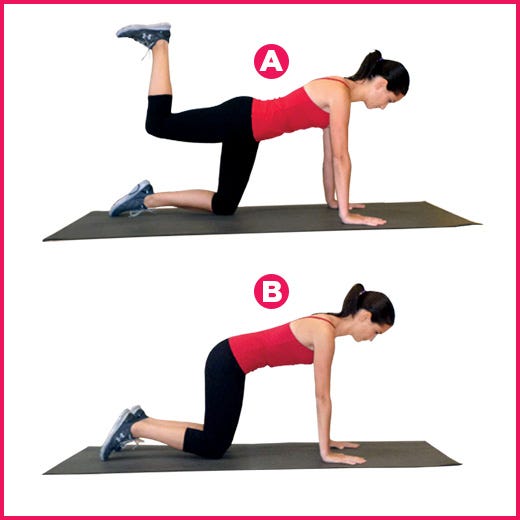 Quadruped Hip Extension