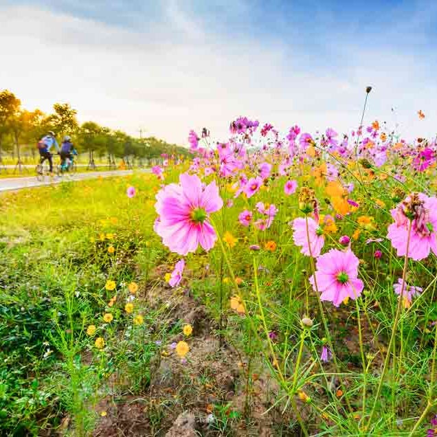 Ease Your Seasonal Allergies During Exercise | Bicycling Ease Your Seasonal Allergies During Exercise | Bicycling