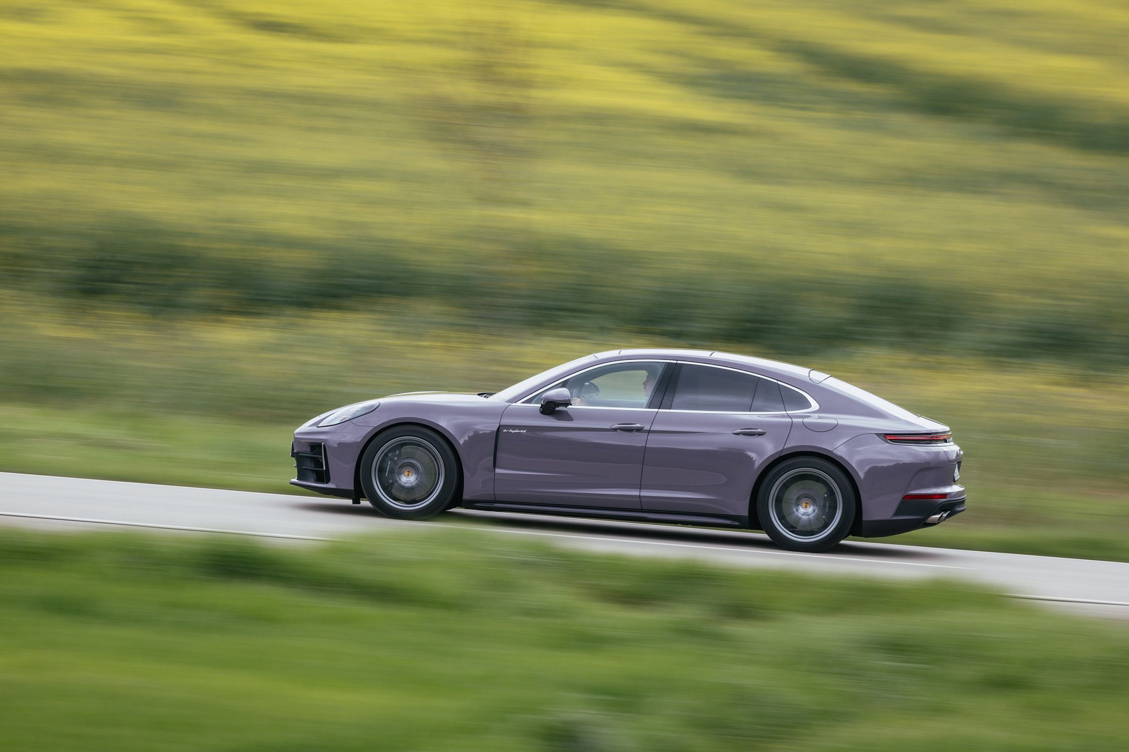 Porsche panamera plug in hybrid store