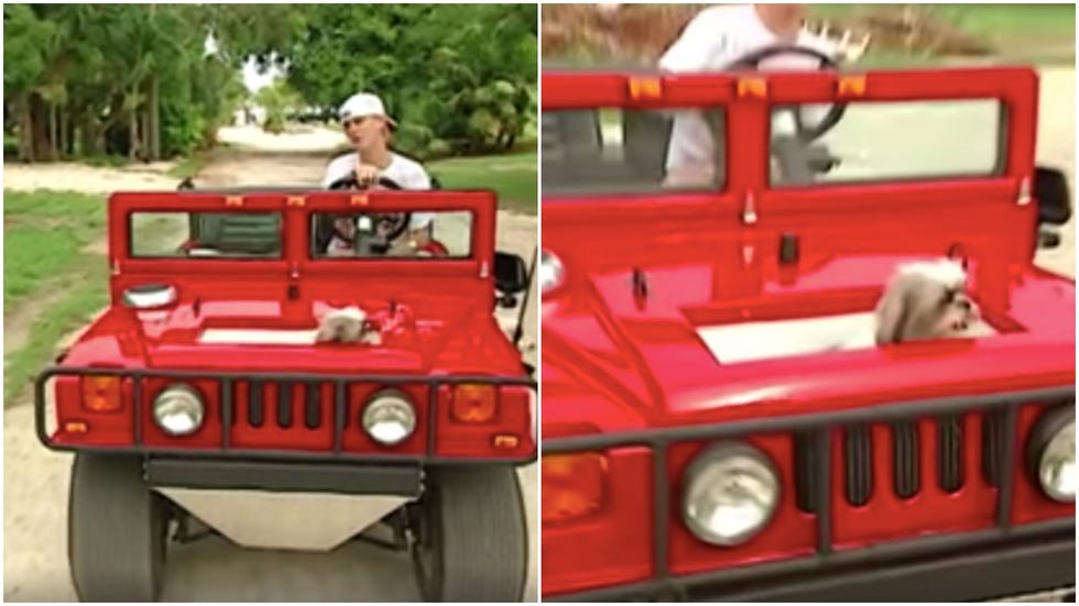 Wildest Moments From Mtv Cribs Mtv Cribs Photos