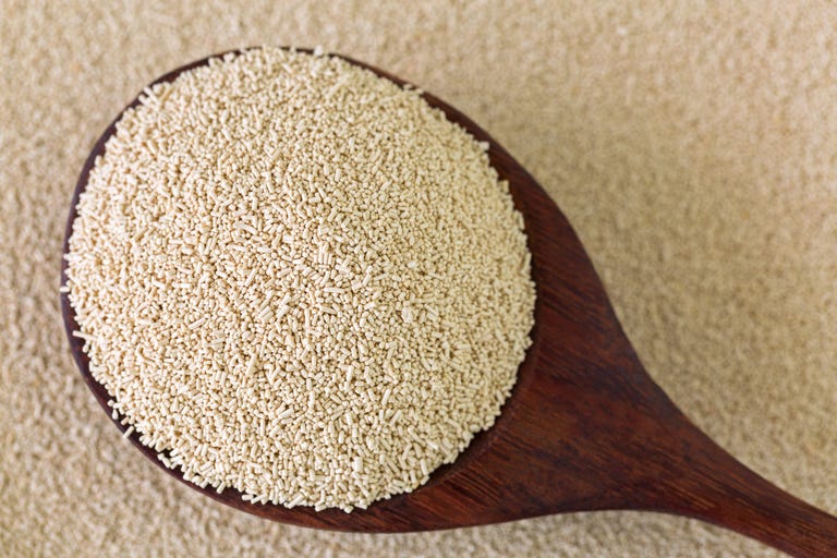 Everything You Need To Know About Yeast Yeast Types And How To Use Them