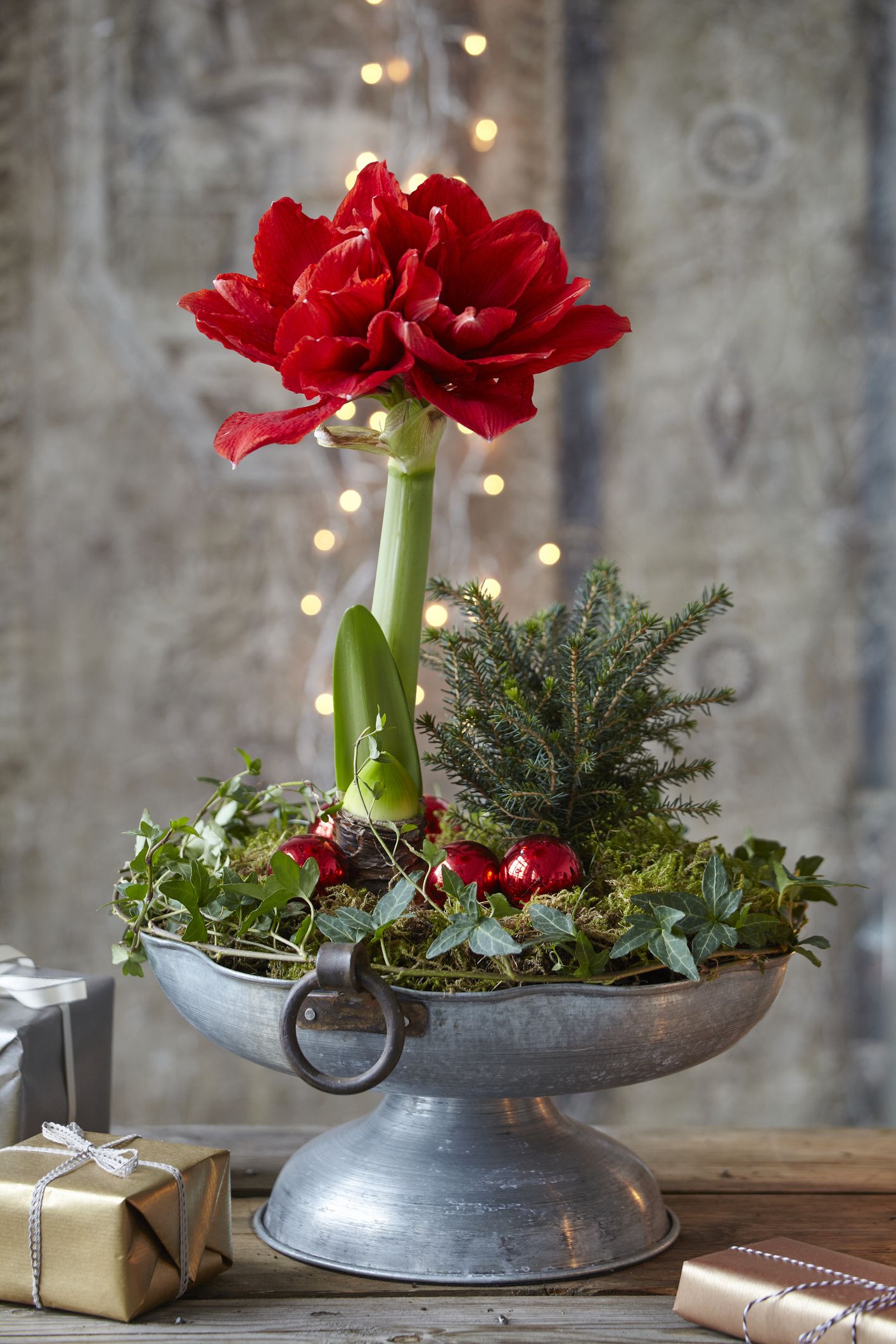 5 Flower Trends to Embrace This Christmas