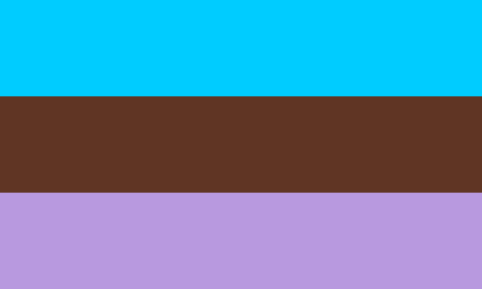 Are You Androsexual Androsexuality Meaning Pride Flag Faq