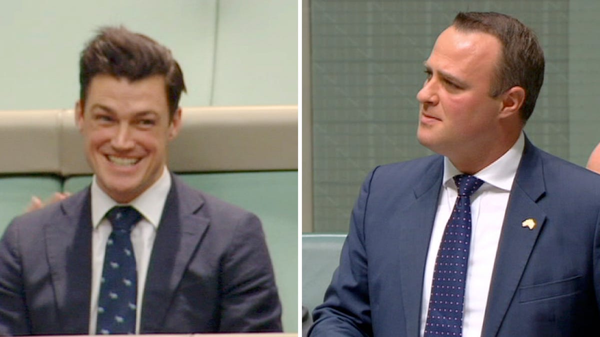 This Mp Proposing To His Partner During A Same Sex Marriage Debate In