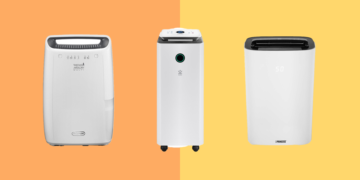 Best dehumidifier air purifier store
