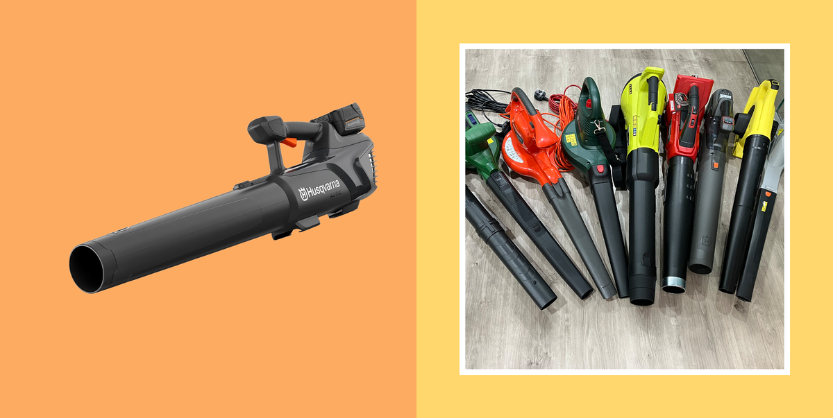 Best electric blower store