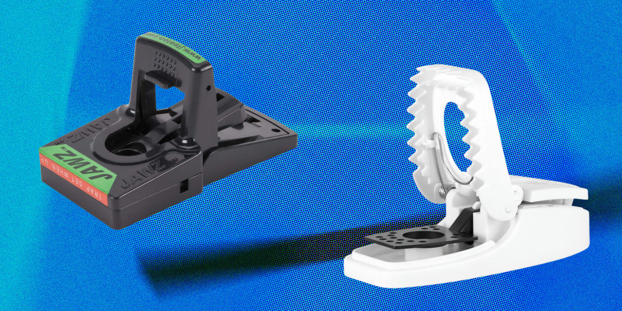 Best Mouse Traps of 2024