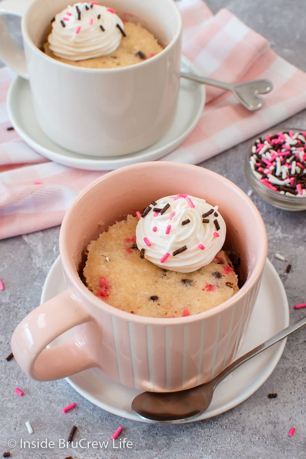 30 Best Microwavable Mug Cake Recipes
