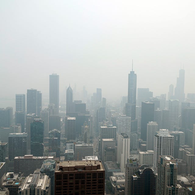 Why Wildfire Smoke Is Dangerous: Particulate Matter in Your Blood Why Wildfire Smoke Is Dangerous: Particulate Matter in Your Blood