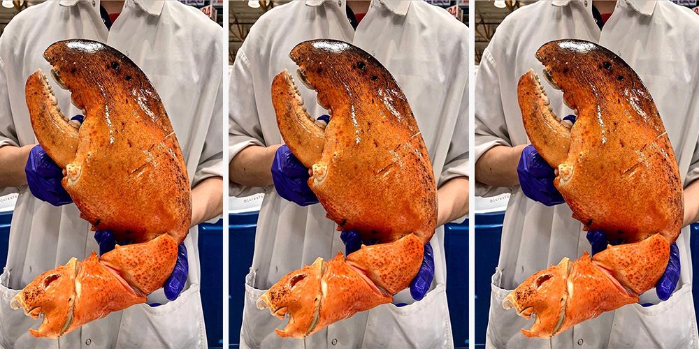 Costco Is Selling a GIGANTIC 3 Pound Lobster Claw