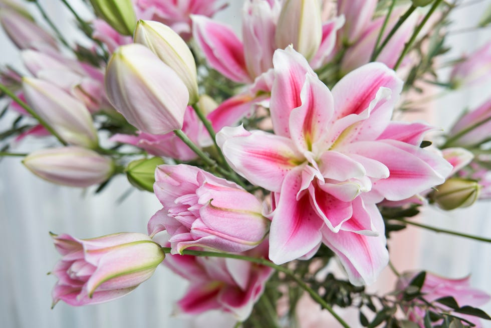 12 Most Popular Flowers for Bouquets According to Florists
