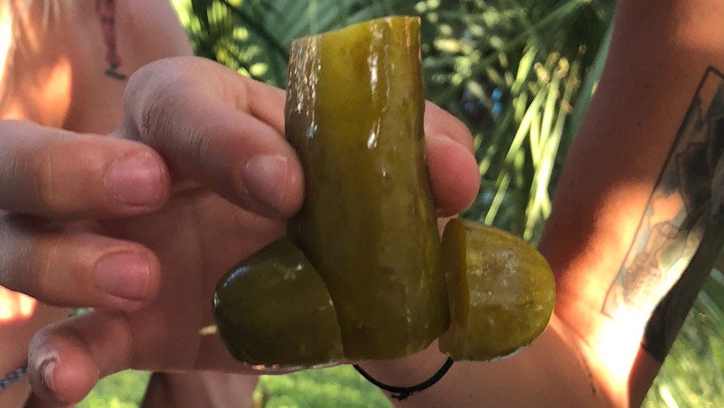 Nsfw Pickleback Shots — Bachelorette Pickleback Shots