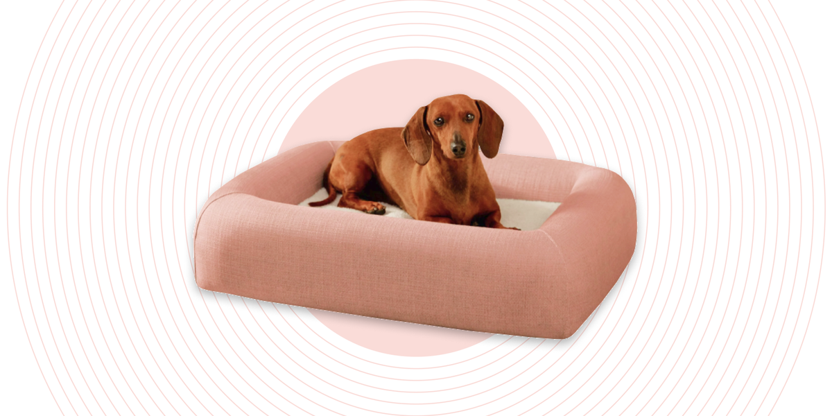 The range dog beds store