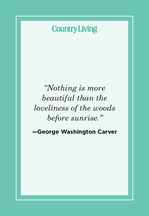 45 Short Earth Day Quotes To Celebrate The Planet 2023