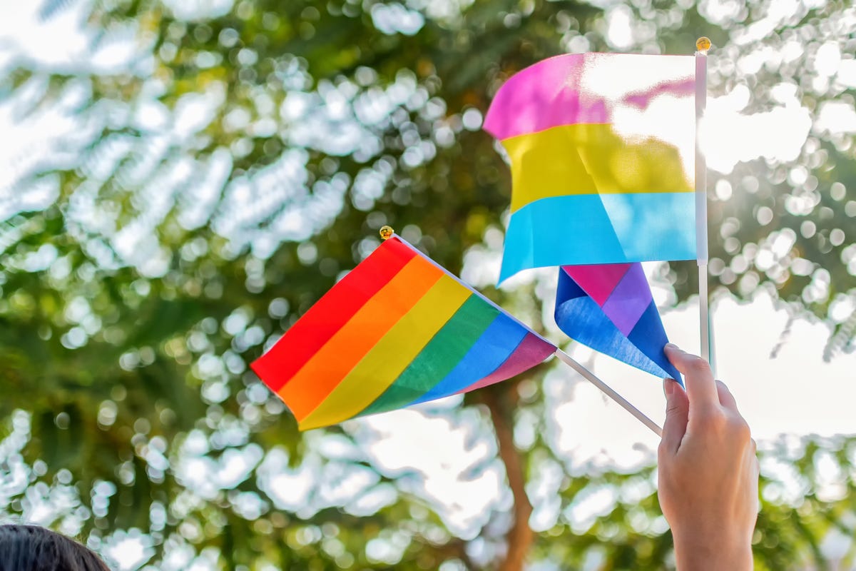 Lgbtqiaを表す「旗」29種類を解説！レインボーフラッグ以外の旗の意味は？