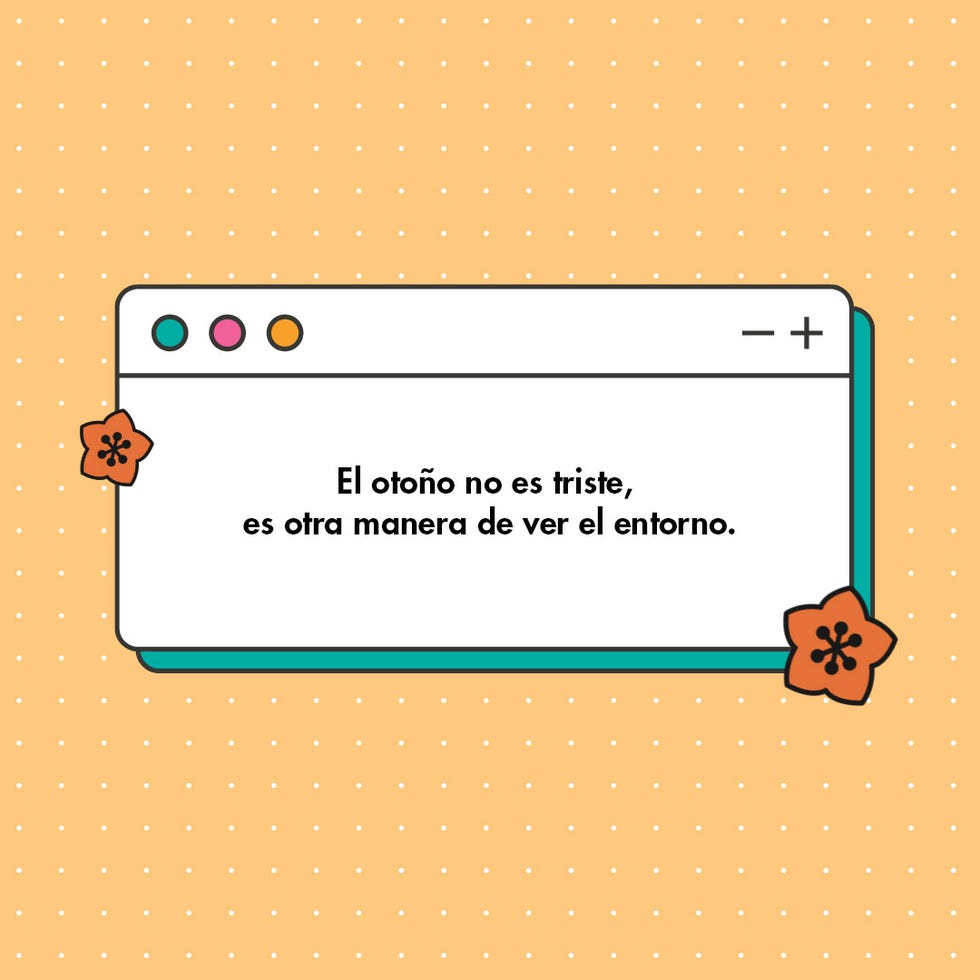 80 Frases De Otoño Bonitas Para Subir A Instagram
