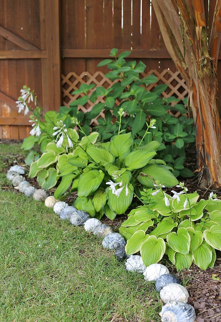 Edging for garden borders store