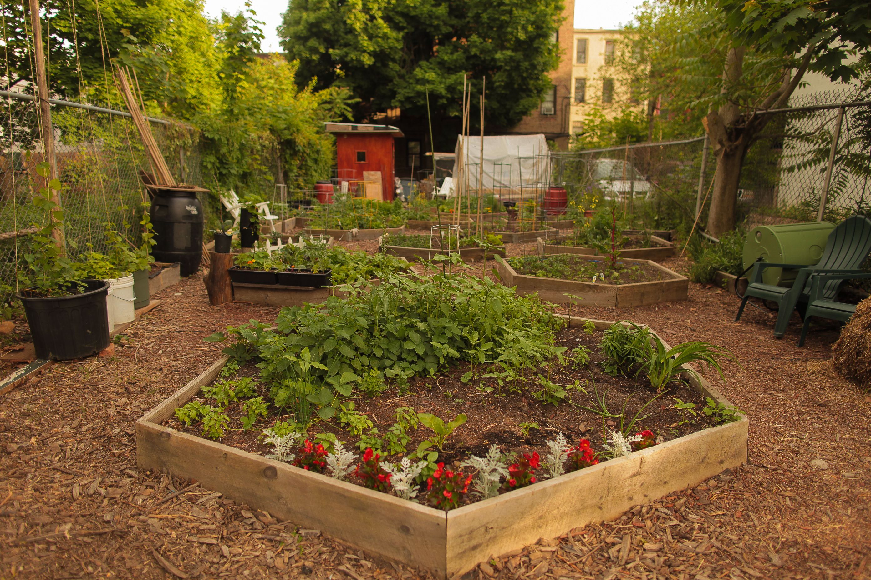 20 Best Raised Garden Bed Ideas to Elevate Your Backyard