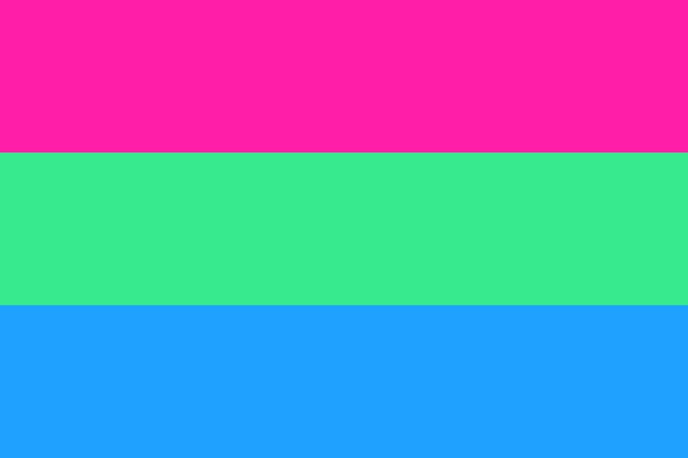 Lgbtq Pride Flags And What They Mean Pride Flag Meanings