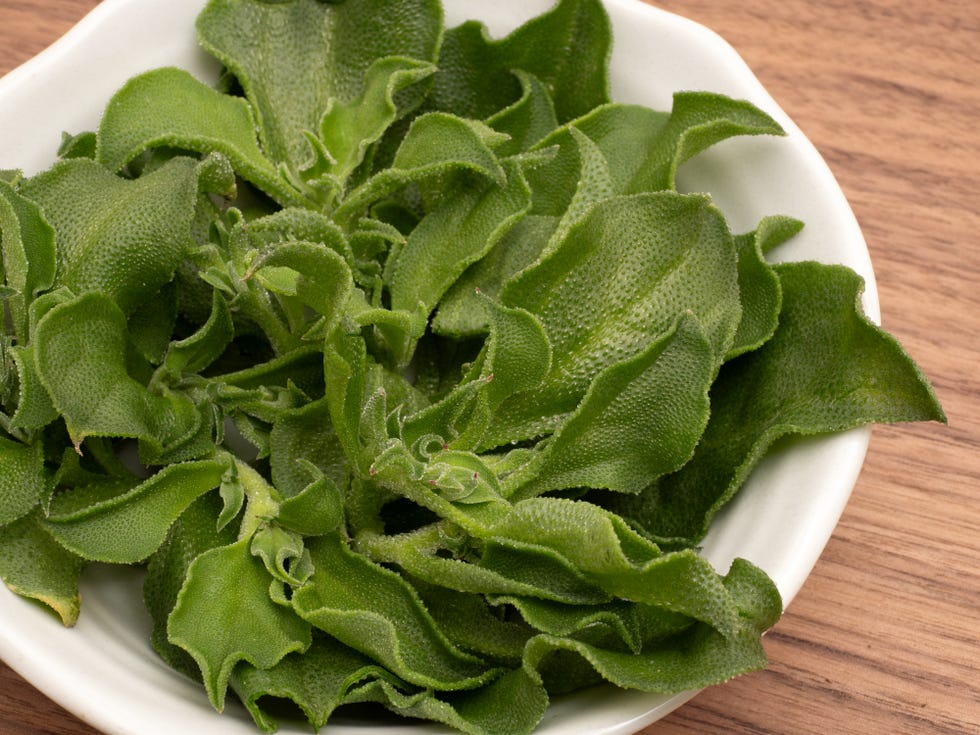 全聯「冰花」多少錢?哪裡買、功效與食譜推薦,微鹹爽脆口感太神奇!