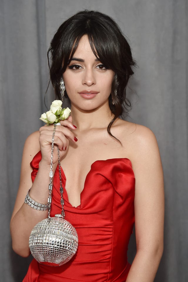 Camila Cabello Says She Wouldnt Have Made It As A Solo Artist Without