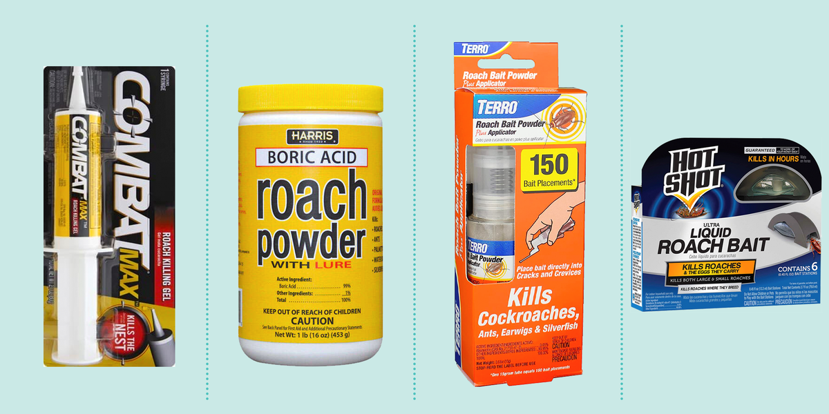 Homemade roach killer store