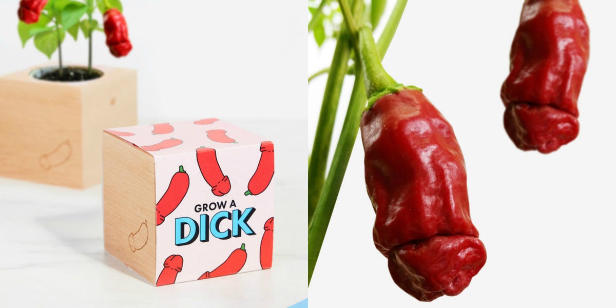 Fireboxs Grow A Dick Willy Chillies Kit Produces Very Phallic Peppers