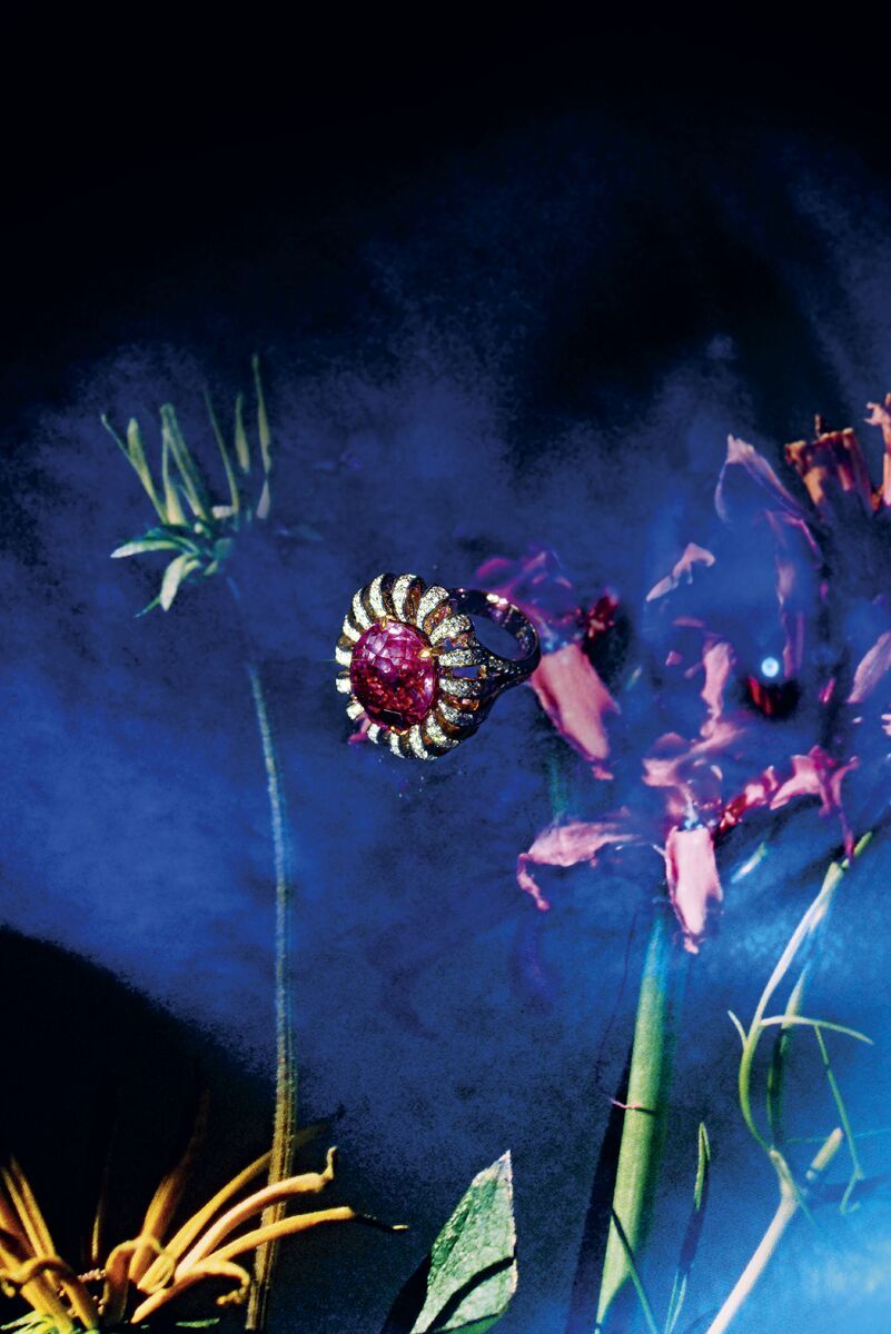 光あふれる記憶のかけら──8つの新作ジュエリーたち 光あふれる記憶のかけら──8つの新作ジュエリーたち
