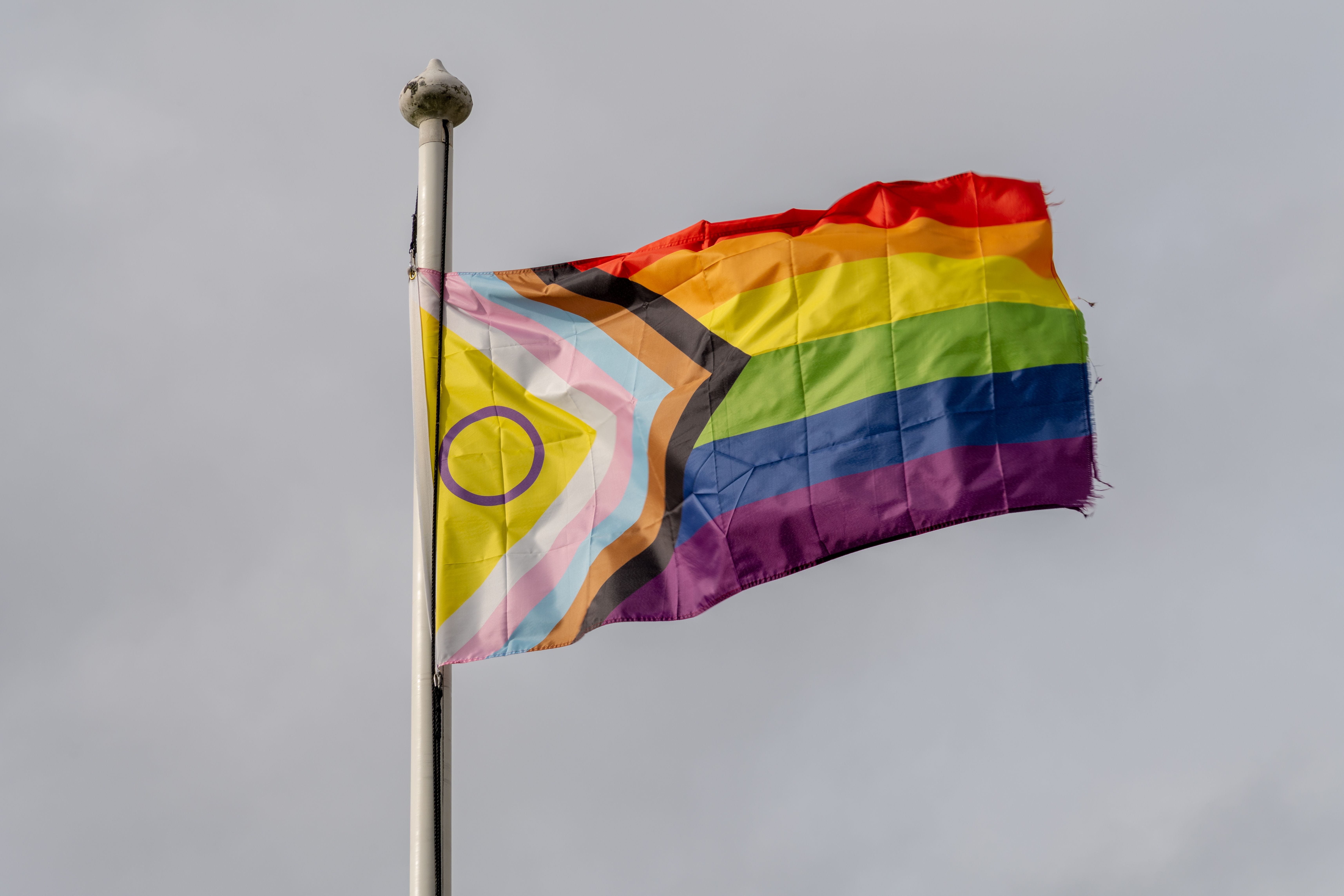 Lgbtq Pride Flags And What They Mean Pride Flag Meanings