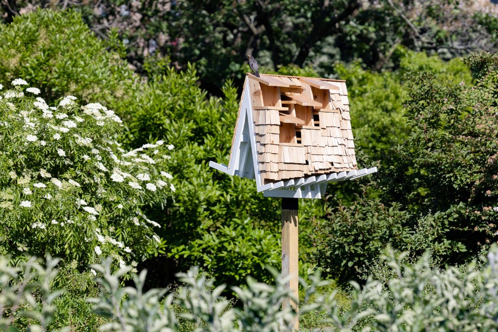 These Birdhouses Are Probably Better Designed Than Your House