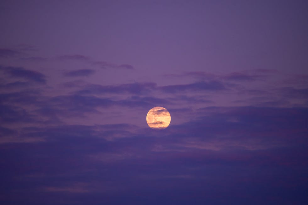 75 Best Moon Quotes That Are So Magical