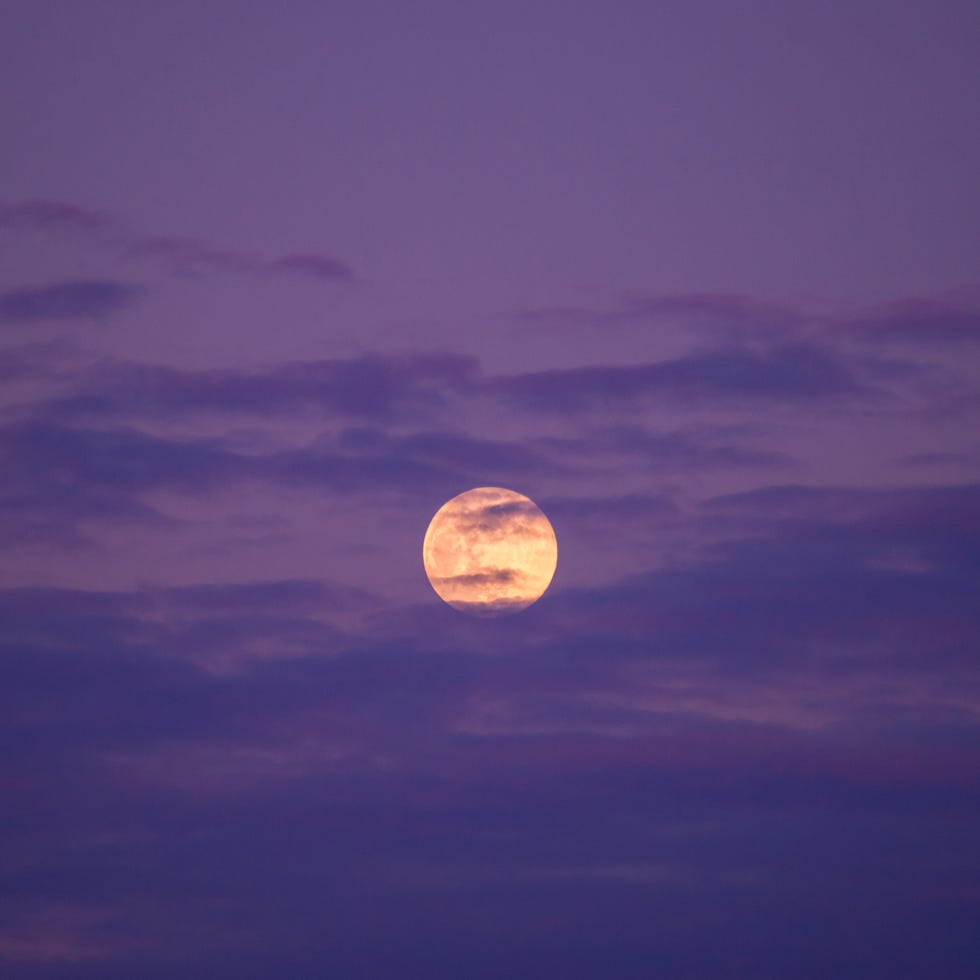 75 Best Moon Quotes That Are So Magical